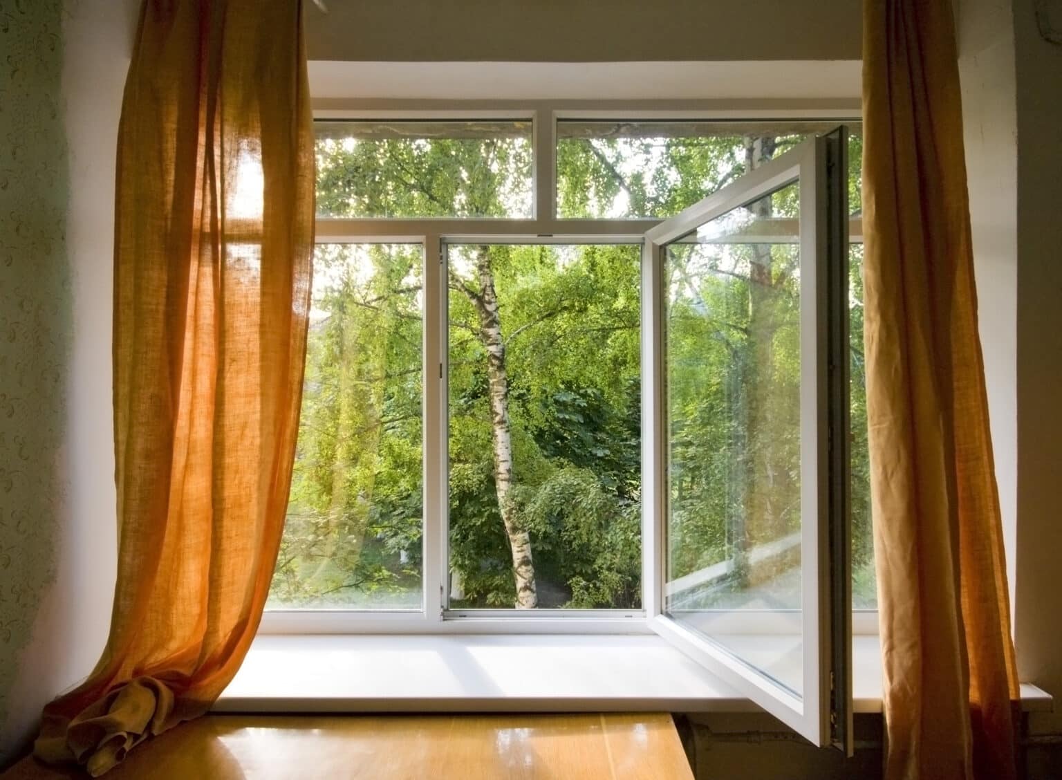 Top Rated Window Georgia Window Company